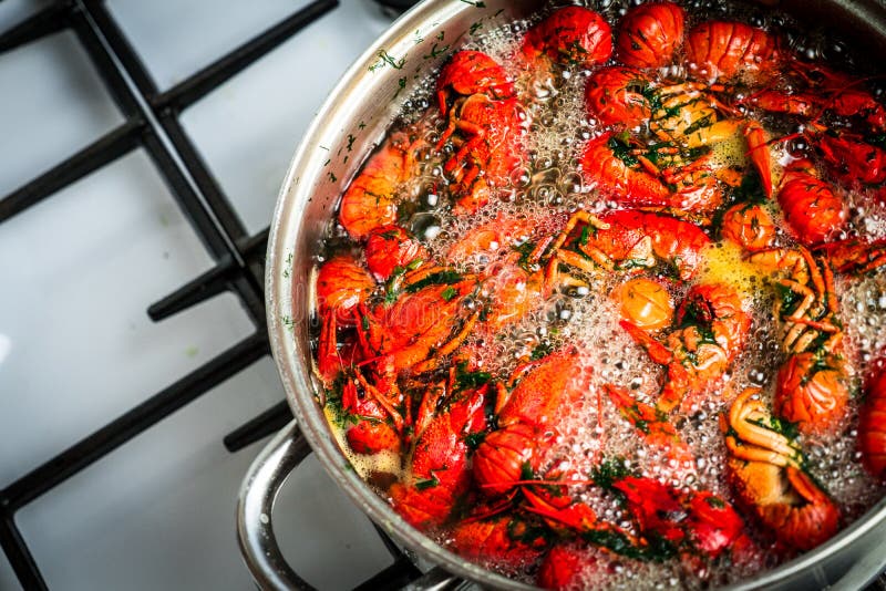 Crayfish Cook in Water with Spices and Herbs Stock Image - Image of ...