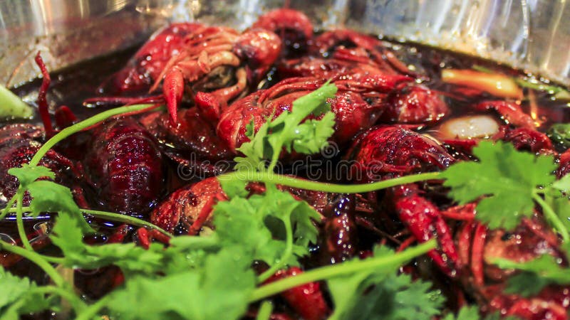 Crayfish stock image. Image of seasoned, ready, crawdad - 65707111