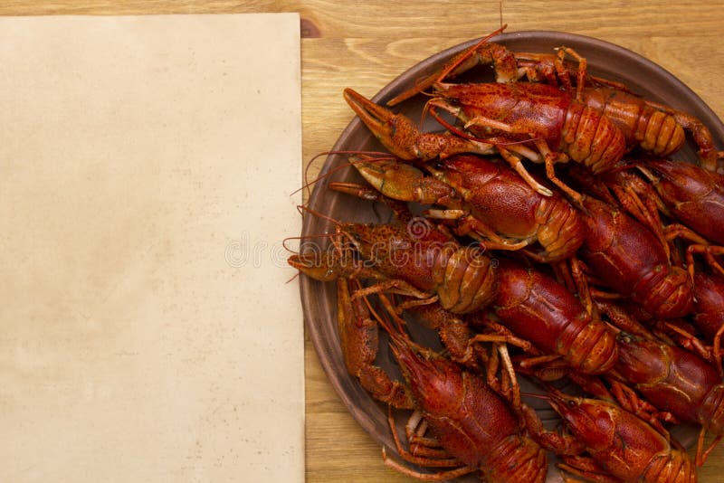 Crayfish cooked with dill stock image. Image of cooked - 18985463