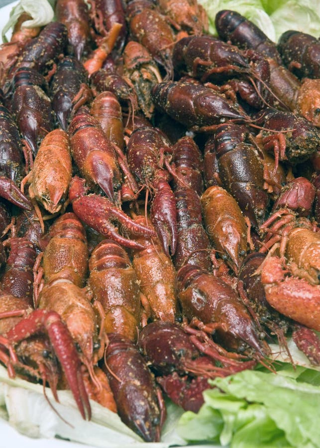 Live Crayfish, Crawfish, Crawdad Stock Image - Image of fish, crawdad ...