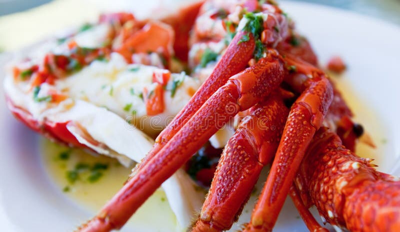 Crayfish Delight stock photo. Image of food, tasty, seafood - 19371090