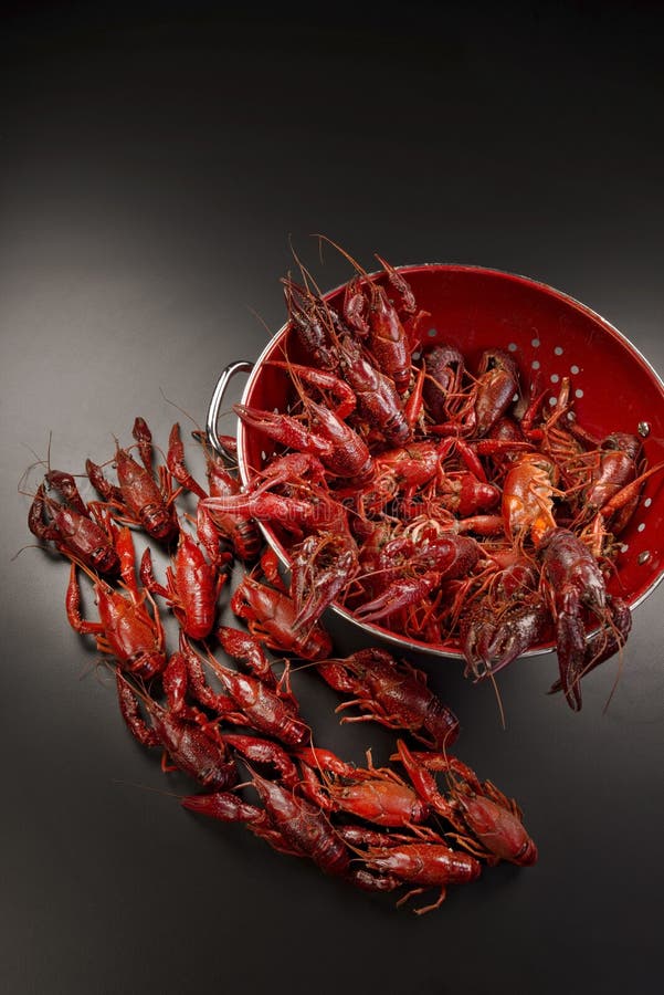 Crayfish. stock image. Image of alive, pincher, cajun - 31948737