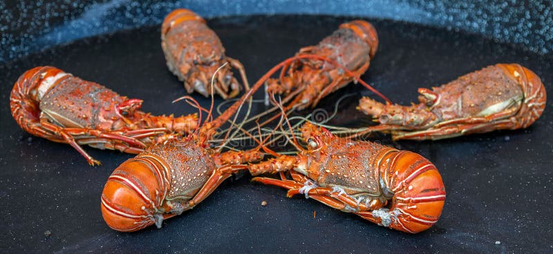 Crayfish in Pan Ready for Cooking Stock Photo - Image of seafood, crabs ...