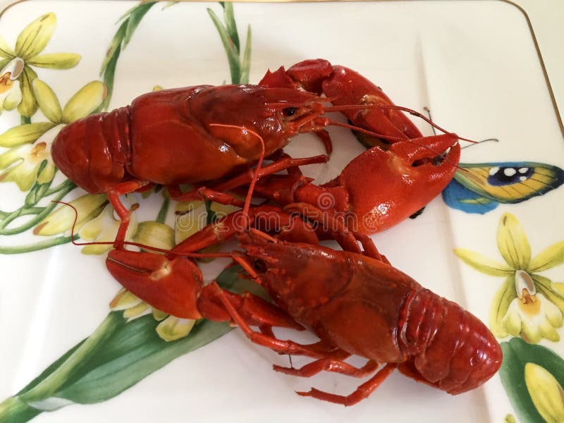 Crayfish on a plate stock photo. Image of beautiful, claws - 60141518