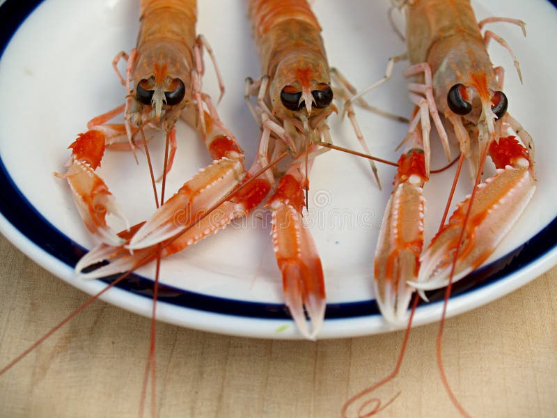 Crayfish on plate stock photo. Image of claw, gourmet - 71781606