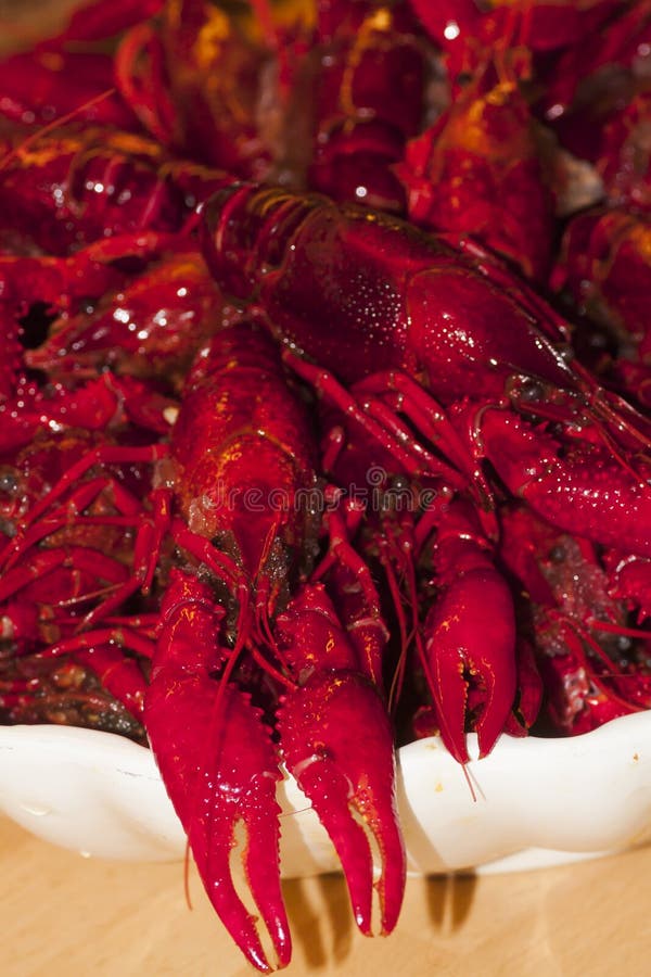 Crayfish stock photo. Image of boiled, nature, platter - 78557600
