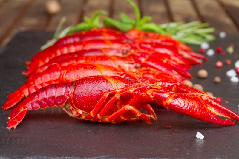 Crayfish stock image. Image of crab, meal, crawfish, shell - 59454539
