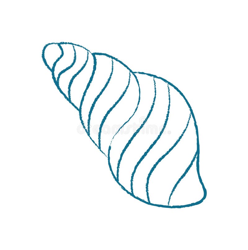 Crayon Seashell Doodle stock illustration. Illustration of grunge ...