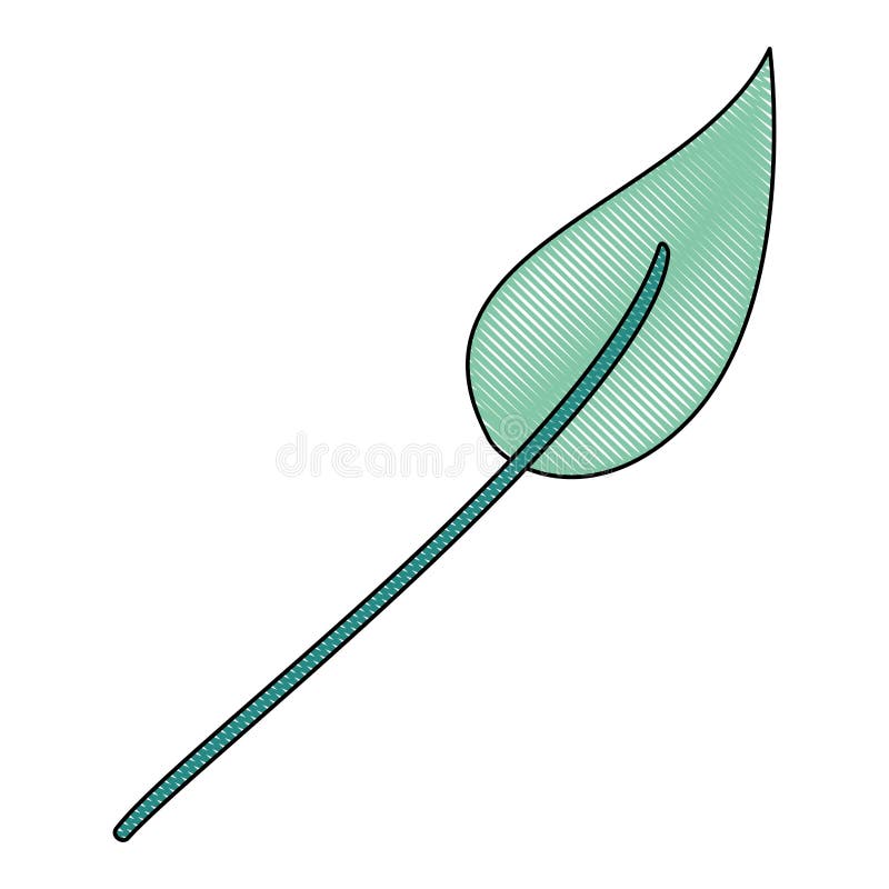 Lanceolate Maple Leaf Flat Icon Stock Vector - Illustration of black ...