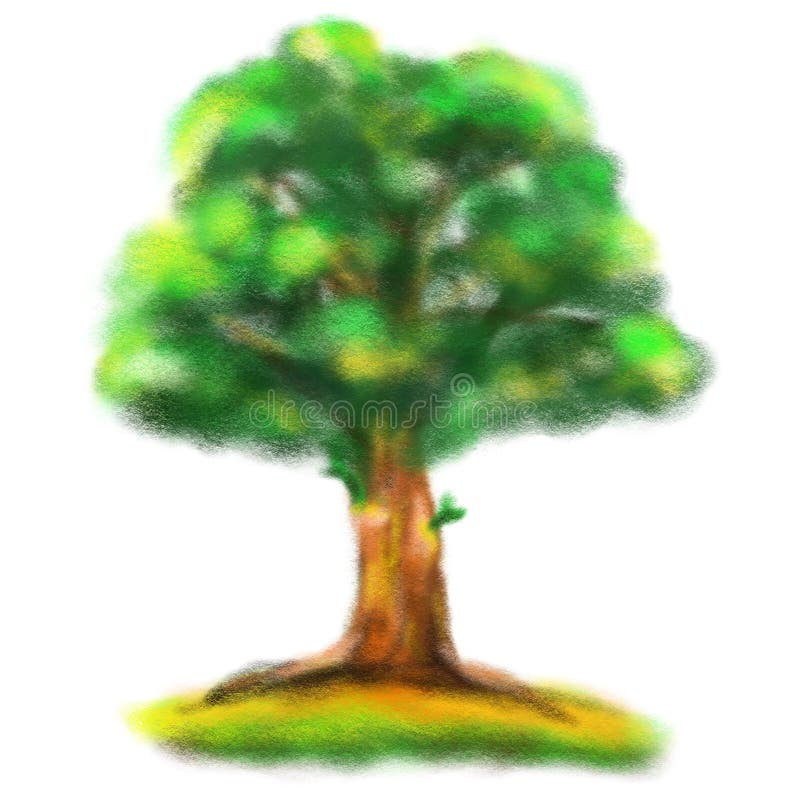 Cartoon Tree in Crayon Style Isolated Illustration Stock Illustration ...