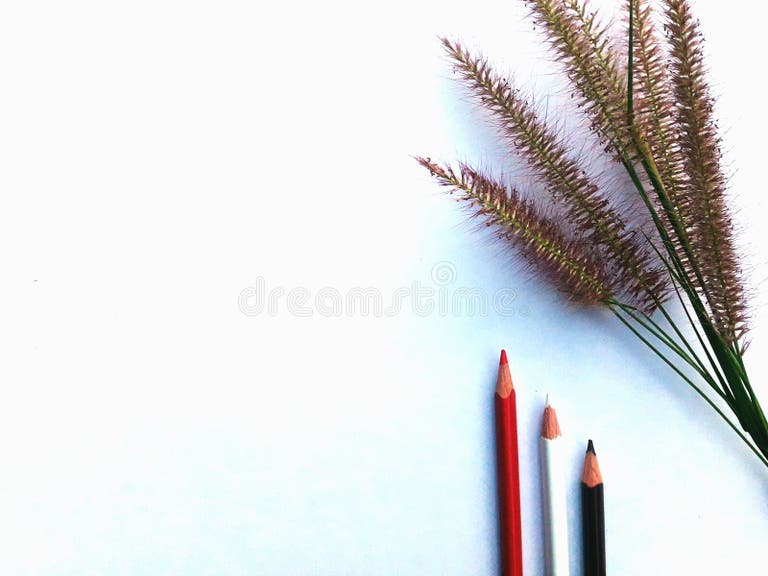 Crayons and white ground stock image. Image of crayons - 116366853