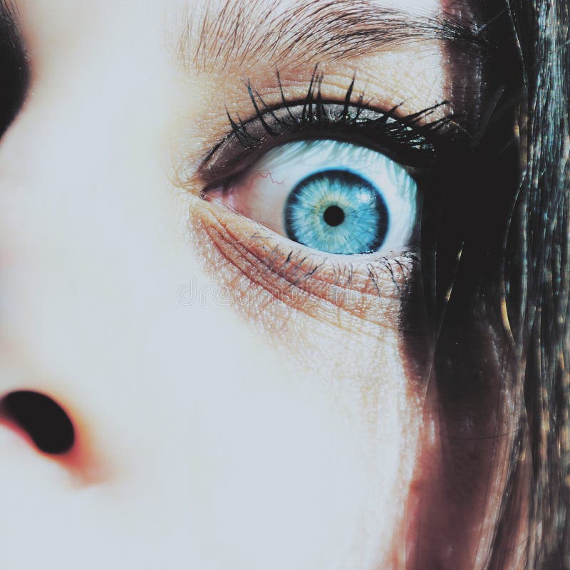 Blue eyes stock image. Image of eyes, open, blue, crazy - 113785333