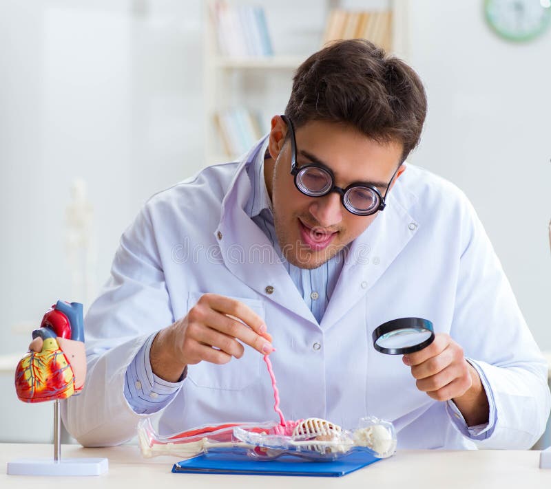 Crazy Doctor - Funny Medical Concept Stock Image - Image of hand ... Crazy Doctor - Funny Medical Concept Stock Image - Image of hand ...