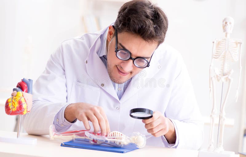 Crazy Doctor - Funny Medical Concept Stock Image - Image of hand ... Crazy Doctor - Funny Medical Concept Stock Image - Image of hand ...