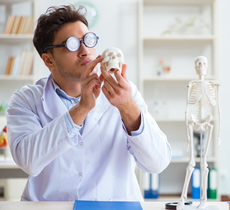 Crazy Doctor Studying Human Skeleton Stock Image - Image of explaining ...