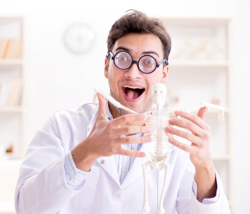 Crazy Doctor Studying Human Skeleton Stock Image - Image of crazy ...