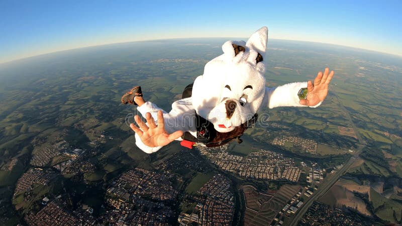Rabbit Skydive Stock Photos - Free & Royalty-Free Stock Photos from ...