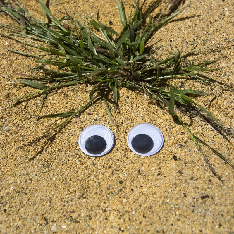 Crazy Googly Eyes - Creative Expression with Googly Eyes Stock Photo ...