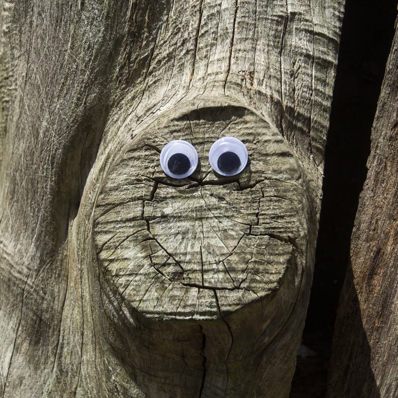 Crazy Googly Eyes - Creative Expression with Googly Eyes Stock Photo ...