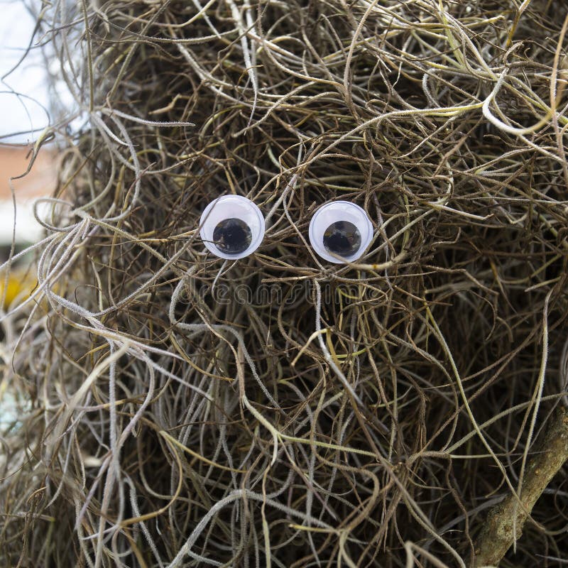 Crazy Googly Eyes - Creative Expression with Googly Eyes Stock Photo ...