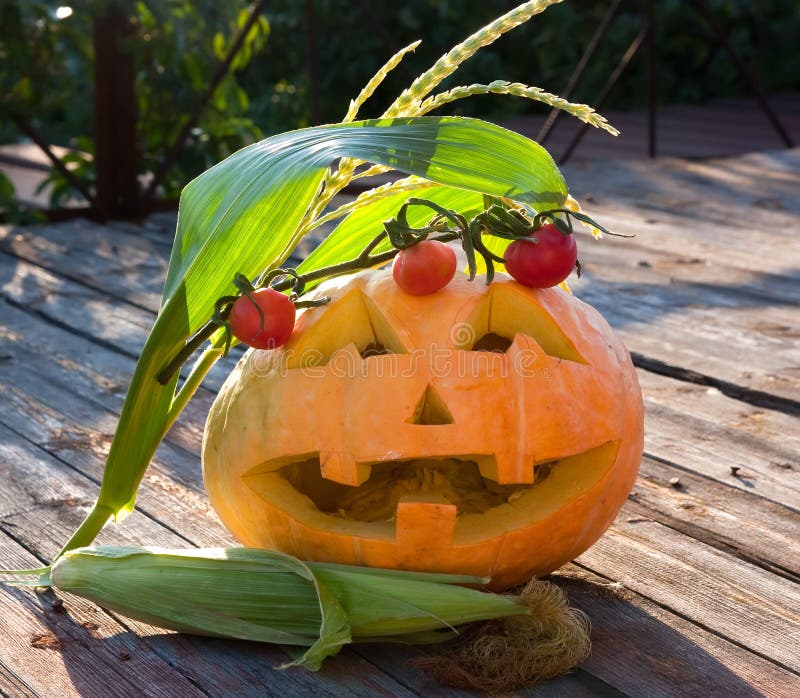 Crazy Halloween pumpkin stock image. Image of plump, carving - 21472023
