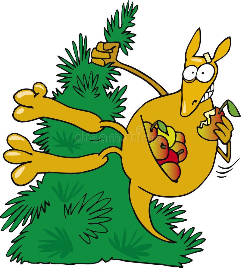 Crazy kangaroo stock vector. Illustration of tree, humor - 7036255