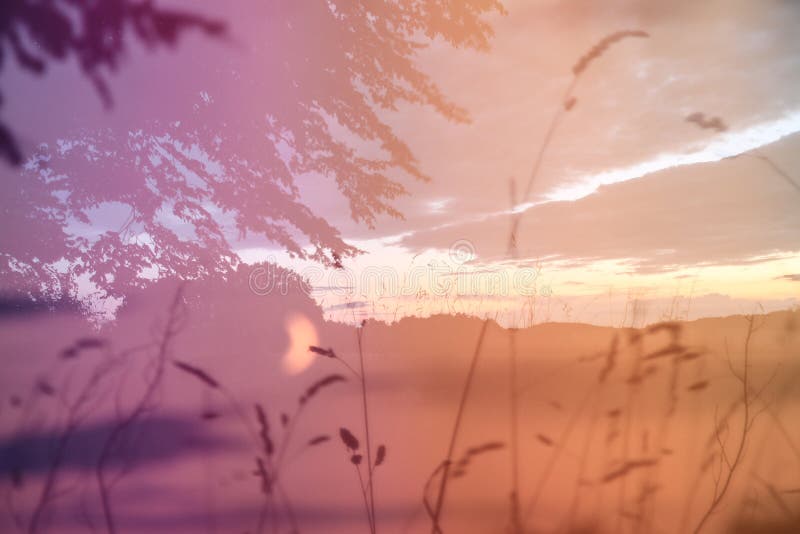 Crazy landscape stock image. Image of leaf, nature, field - 33609547