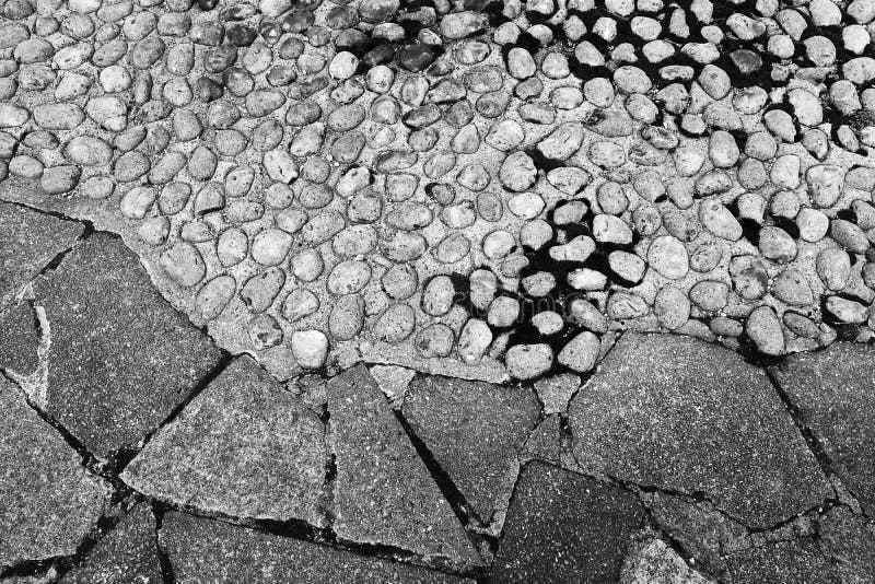 Crazy paved path in garden stock photo. Image of walkway - 94263154