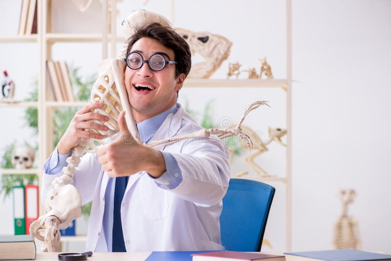 The Crazy Professor Studying Human Skeleton Stock Image - Image of ...