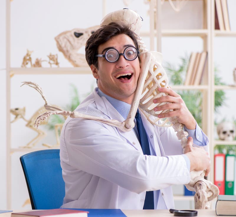 Crazy Professor Studying Human Skeleton Stock Photo - Image of exam ...