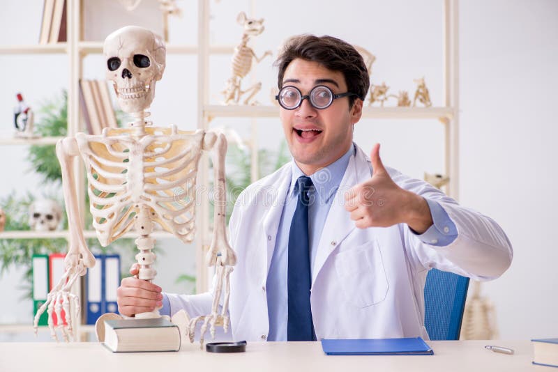 418 Nerd Student Human Skeleton Stock Photos - Free & Royalty-Free ...