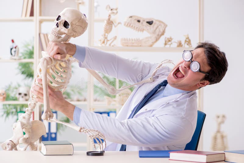 The Crazy Professor Studying Human Skeleton Stock Image - Image of ...