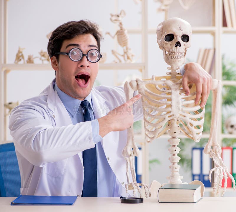 Crazy Professor Studying Human Skeleton Stock Image - Image of intern ...