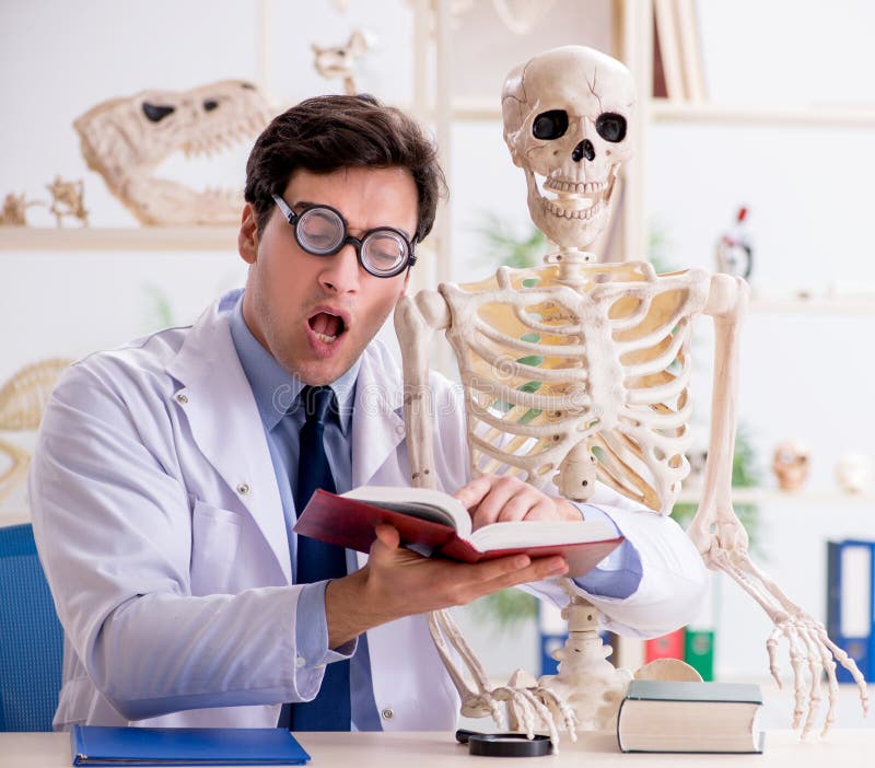 Crazy Professor Studying Human Skeleton Stock Image - Image of medicine ...