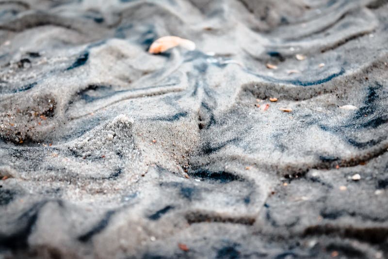 Crazy Sand and Shell Textures Stock Photo - Image of crazy, shell ...