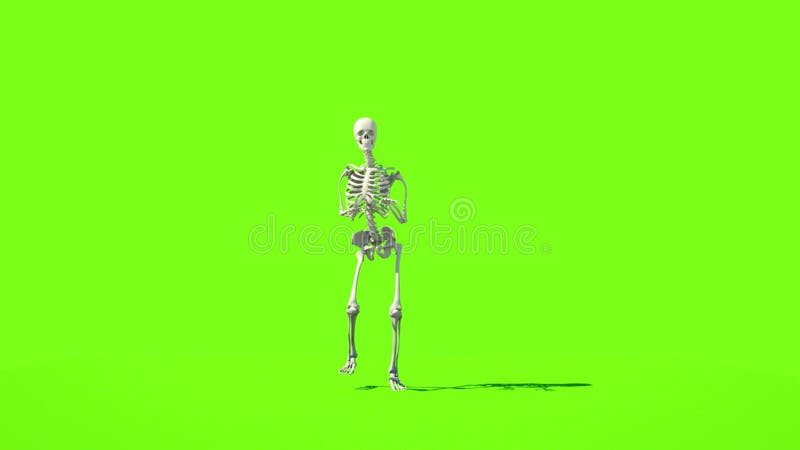 Crazy Skeleton Funny Dancing. GI Render. Green Screen Footage Stock ...