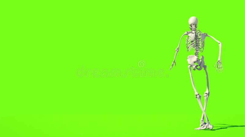 Crazy Skeleton Funny Dancing. GI Render. Green Screen Footage Stock ...