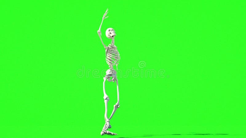 Crazy Skeleton Funny Dancing. GI Render. Green Screen Footage Stock ...