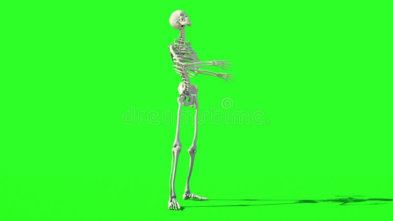 Crazy Skeleton Funny Dancing. GI Render. Green Screen Footage Stock ...