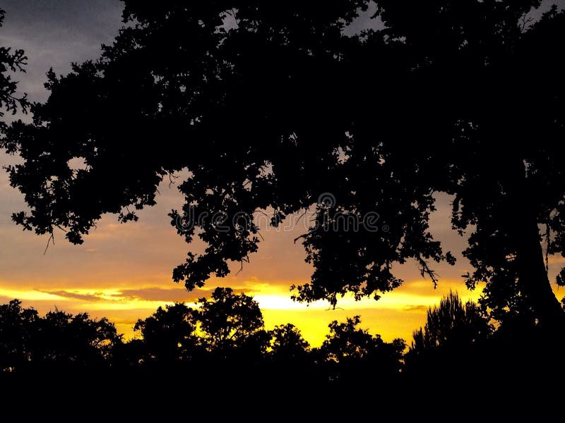 Crazy sun stock image. Image of night, crazy, electrifying - 80295829