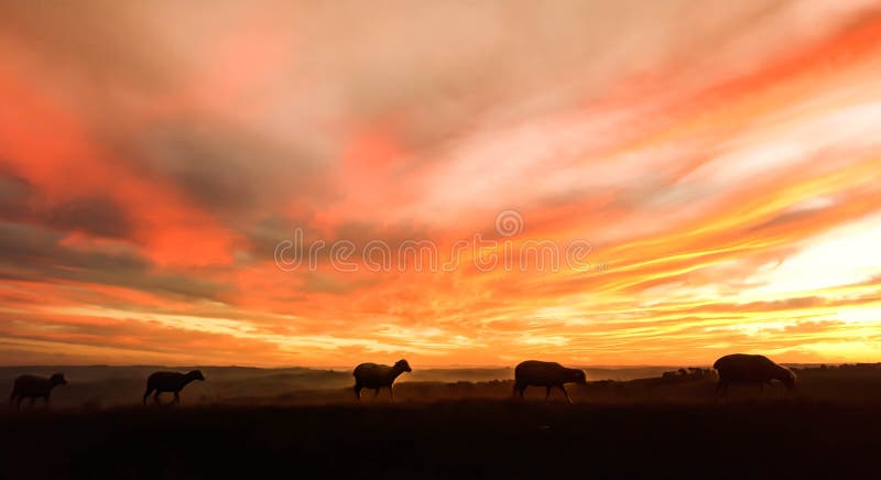 Crazy Sunset in South Africa Stock Photo - Image of dusk, galilee ...