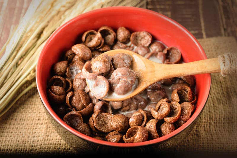 Healthy oat creal stock image. Image of delicious, nutrition - 19724485