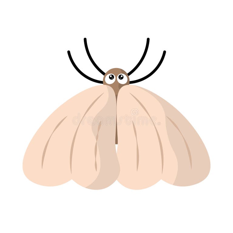 Cream Cartoon Moth Insect. Vector Stock Vector - Illustration of insect ...