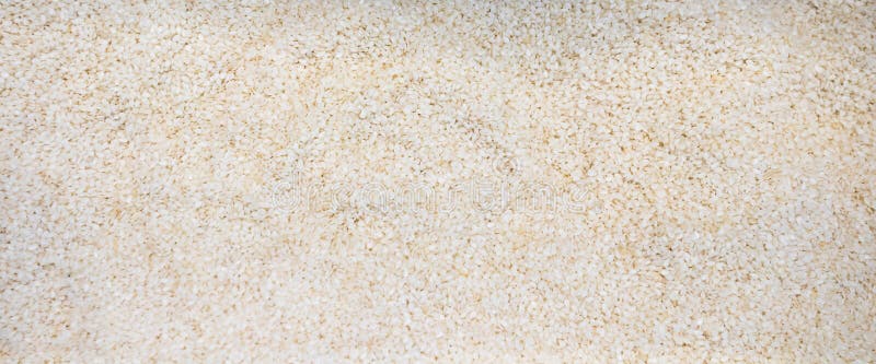Cream Cement Wall for Background Stock Image - Image of abstract, wall ...