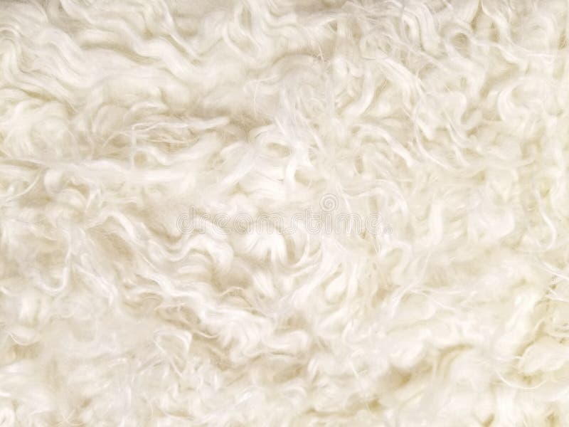 Cream colored fur macro stock image. Image of warm, furry - 107193017