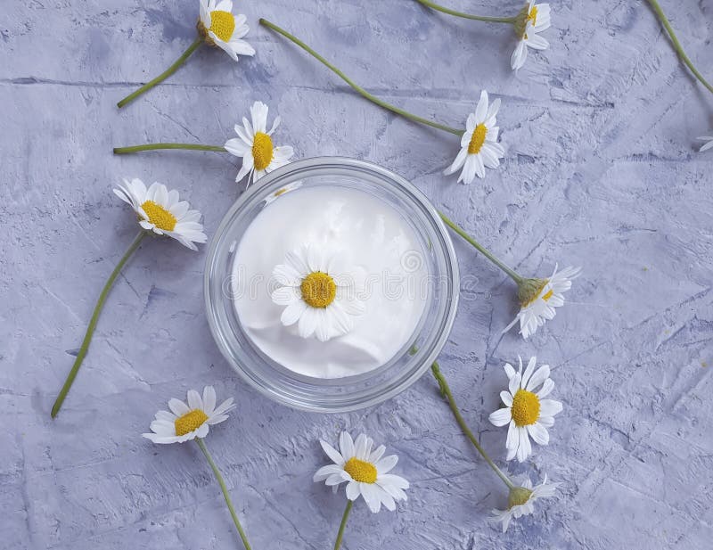 Cream Cosmetic Daisy Flower Treatment on Concrete Background Stock ...