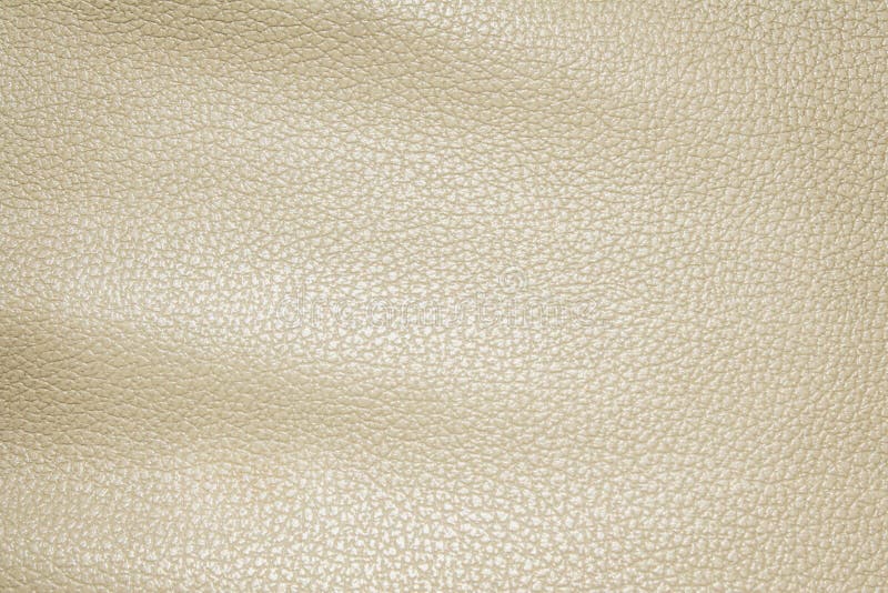 Cream Leather Swatch