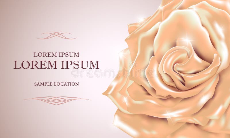 Cream Rose with the Text on the Card or Invitation. Vector Illus Stock ...