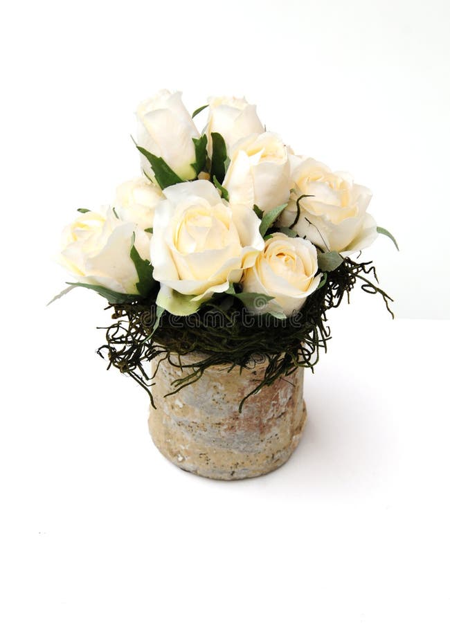 Cream roses stock image. Image of flowers, decoration - 7176149