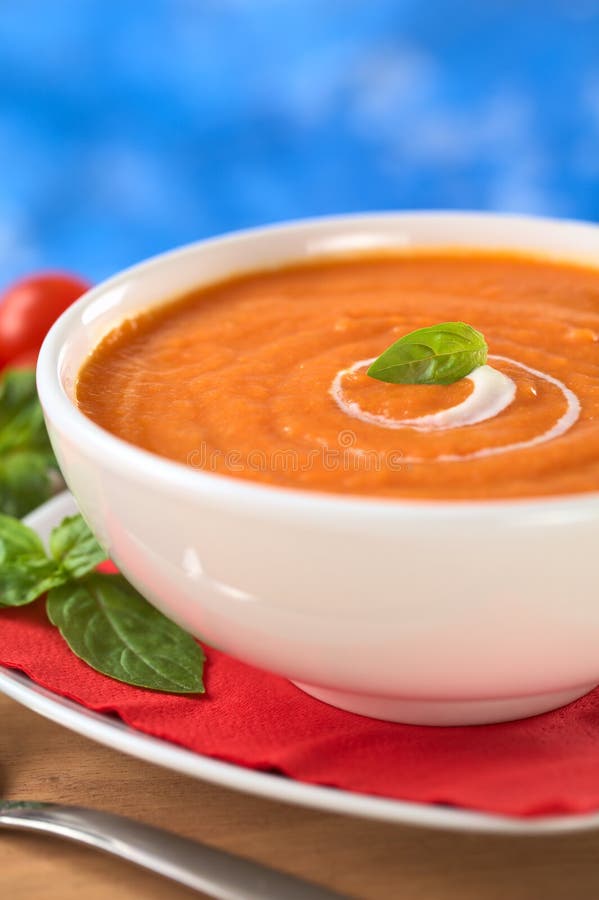 Cream of Tomato stock image. Image of vegetarian, shot - 19604883